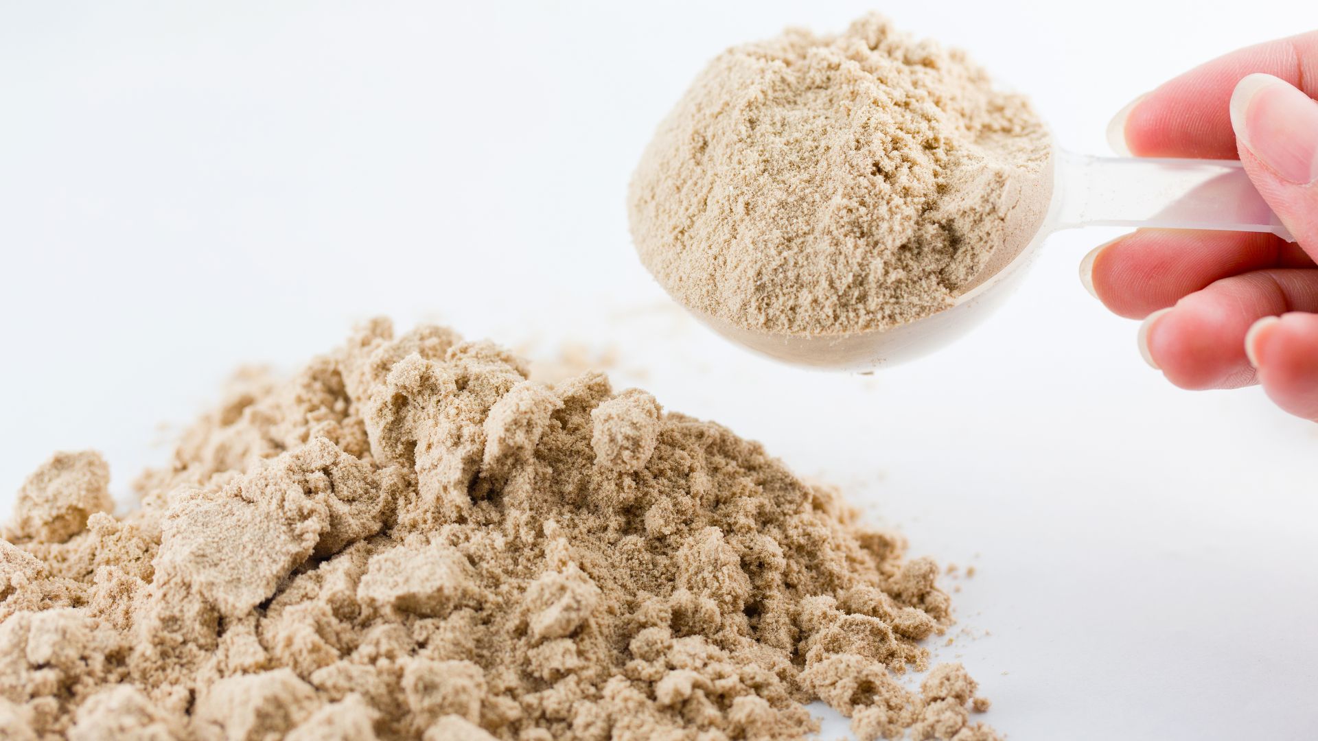 Protein Supplements – Types, Benefits, and Safety | Bicepsshop